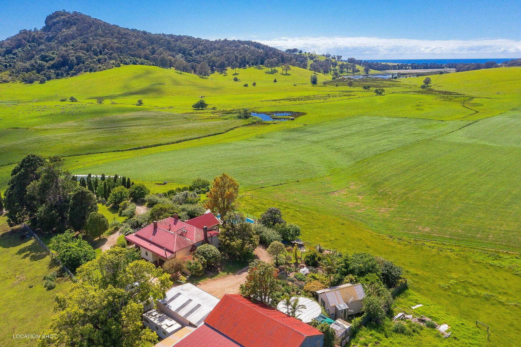 Tilba Real Dairy – Flavours Group